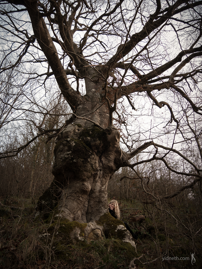 An Oak tree Dryad and Guardians of Nature – Priscilla Hernandez ...